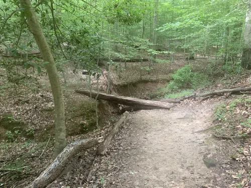 Best Hikes and Trails in Bull Run Marina Regional Park | AllTrails