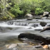 Conasauga River Trail, Georgia - 123 Reviews, Map | AllTrails