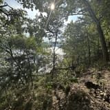 Turkey Hill Trail, Pennsylvania - 1,583 Reviews, Map | AllTrails