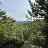 Chuckanut Ridge Trail, Washington - 403 Reviews, Map | AllTrails