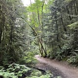 Chuckanut Ridge Trail, Washington - 403 Reviews, Map | AllTrails