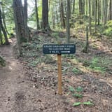 Chuckanut Ridge Trail, Washington - 403 Reviews, Map | AllTrails