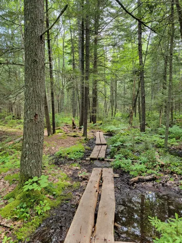 Best Snowshoeing Trails in Dodge Point Public Reserved Land | AllTrails