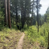 Logging Lake and Grace Lake via Logging Lake Trail, Montana - 44 ...