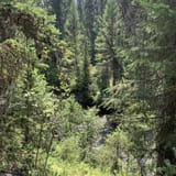 Logging Lake and Grace Lake via Logging Lake Trail, Montana - 44 ...