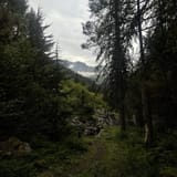 Loop Brook Trail, British Columbia, Canada - 212 Reviews, Map | AllTrails