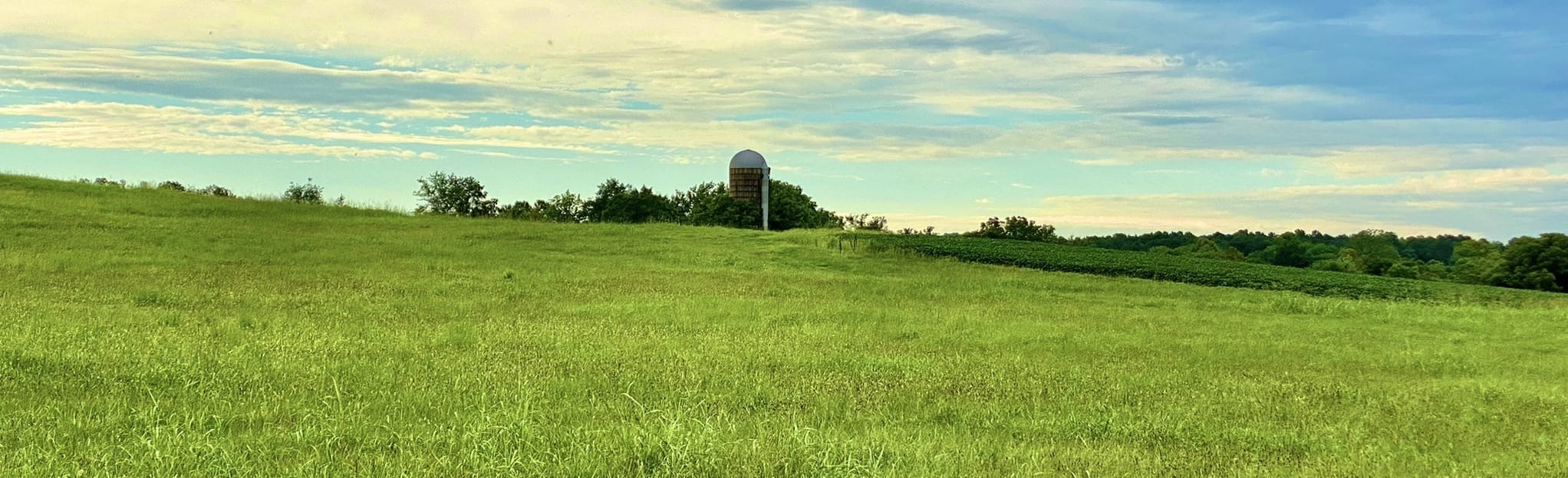Spring Hill Battlefield, Tennessee - 20 Reviews, Map | AllTrails