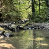 High Point Trail, Washington - 214 Reviews, Map | AllTrails