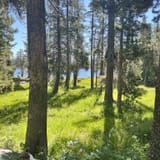 Porcupine Lake and Toad Lake, California - 49 Reviews, Map | AllTrails