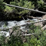 Elk Creek Trail, Colorado - 226 Reviews, Map | AllTrails