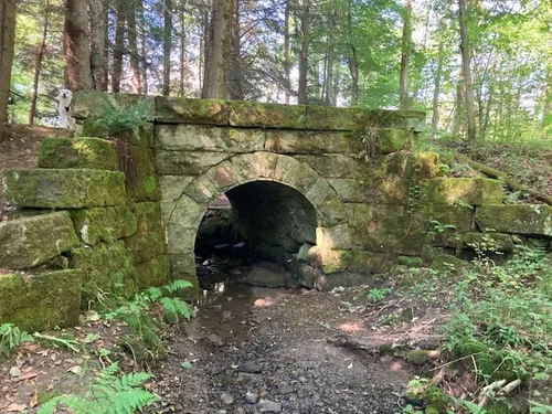 2023 Best Wild Flowers Trails in Cambridge Springs | AllTrails