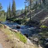Truckee River Trail, California - 1,384 Reviews, Map | AllTrails