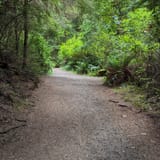 Point Defiance Park Inner Loop, Washington - 779 Reviews, Map | AllTrails
