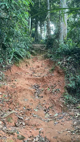 10 Best Trails and Hikes in Purwakarta | AllTrails