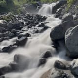 Heliotrope Ridge Trail, Washington - 945 Reviews, Map | AllTrails