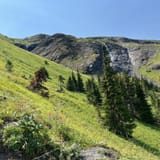 Heliotrope Ridge Trail, Washington - 945 Reviews, Map | AllTrails