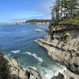 Cape Arago Loop Trail, Oregon - 278 Reviews, Map | AllTrails