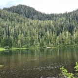 Deer Lake Trail, Washington - 707 Reviews, Map | AllTrails