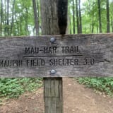 Three Ridges Trail, Virginia - 928 Reviews, Map | AllTrails