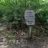 Three Ridges Trail, Virginia - 928 Reviews, Map | AllTrails
