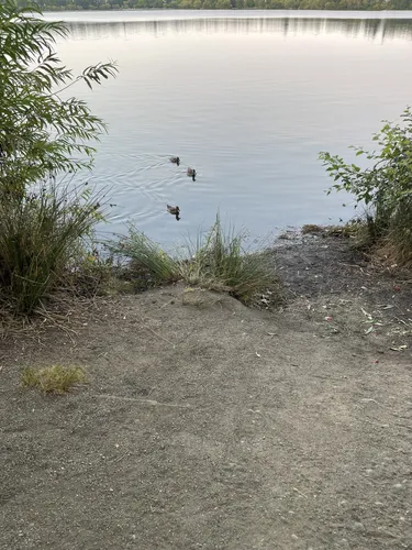 Best Hikes and Trails in Green Lake Park | AllTrails