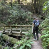 Bootjack Loop, California - 1,609 Reviews, Map | AllTrails