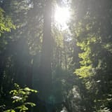 Bootjack Loop, California - 1,609 Reviews, Map | AllTrails