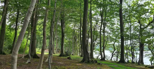 2023 Best Camping Trails in Taulov | AllTrails