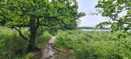 2023 Best Camping Trails in Taulov | AllTrails