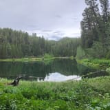 Whits Lakes Spring, Montana - 142 Reviews, Map | AllTrails