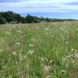 Loree Forest Loop, Ontario, Canada - 1,183 Reviews, Map | AllTrails