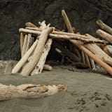 Hidden Beach Trail from Hwy 101, California - 60 Reviews, Map | AllTrails