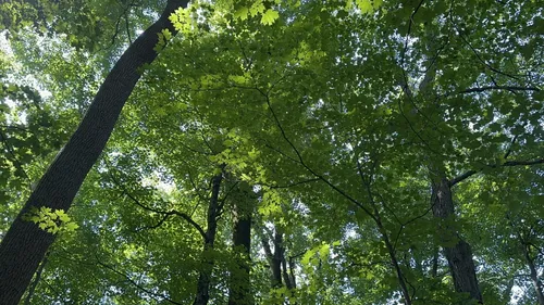 Best Hikes and Trails in Blauvelt State Park | AllTrails