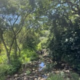 Waimea Valley Trail, Oahu, Hawaii - 1,426 Reviews, Map | AllTrails