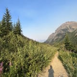 Gorman Lake Trail, British Columbia, Canada - 185 Reviews, Map | AllTrails