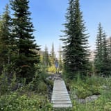 Gorman Lake Trail, British Columbia, Canada - 185 Reviews, Map | AllTrails