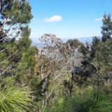 Mount Larcom Walking Trail, Queensland, Australia - 252 Reviews, Map ...
