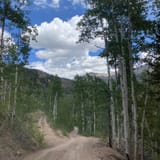 Bachelor Historic OHV Loop, Colorado - 156 Reviews, Map | AllTrails