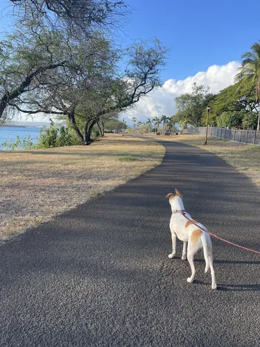 2023 Best Views Trails in Joint Base Pearl Harbor-Hickam | AllTrails