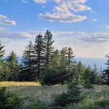 Mount Kit Carson Trail, Washington - 867 Reviews, Map | AllTrails