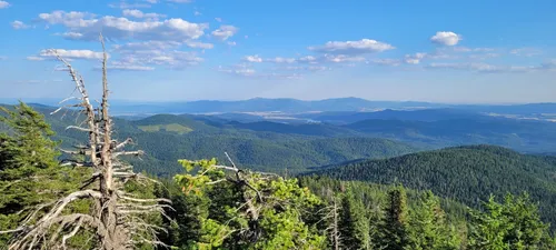 10 Best Hikes and Trails in Mount Spokane State Park | AllTrails