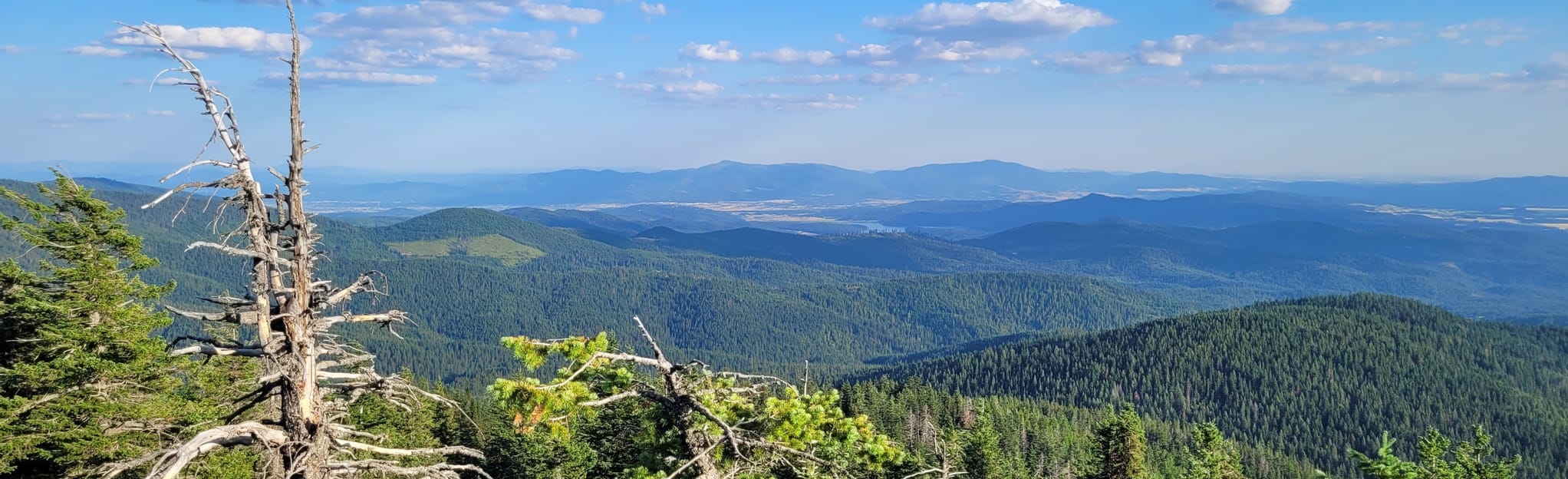 Mount Kit Carson Trail, Washington - 871 Reviews, Map | AllTrails