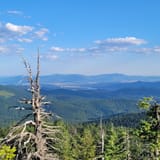 Mount Kit Carson Trail, Washington - 867 Reviews, Map | AllTrails