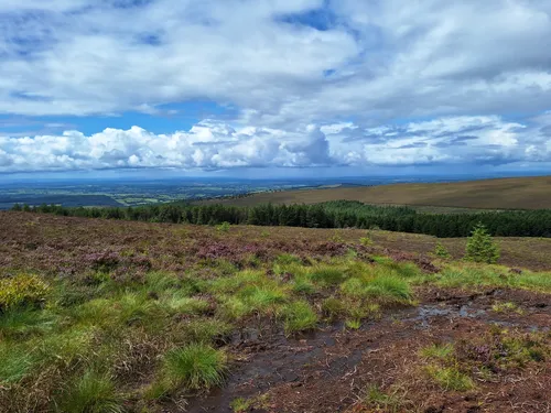Best Hikes and Trails in Slieve Bloom Mountains Nature Reserve | AllTrails