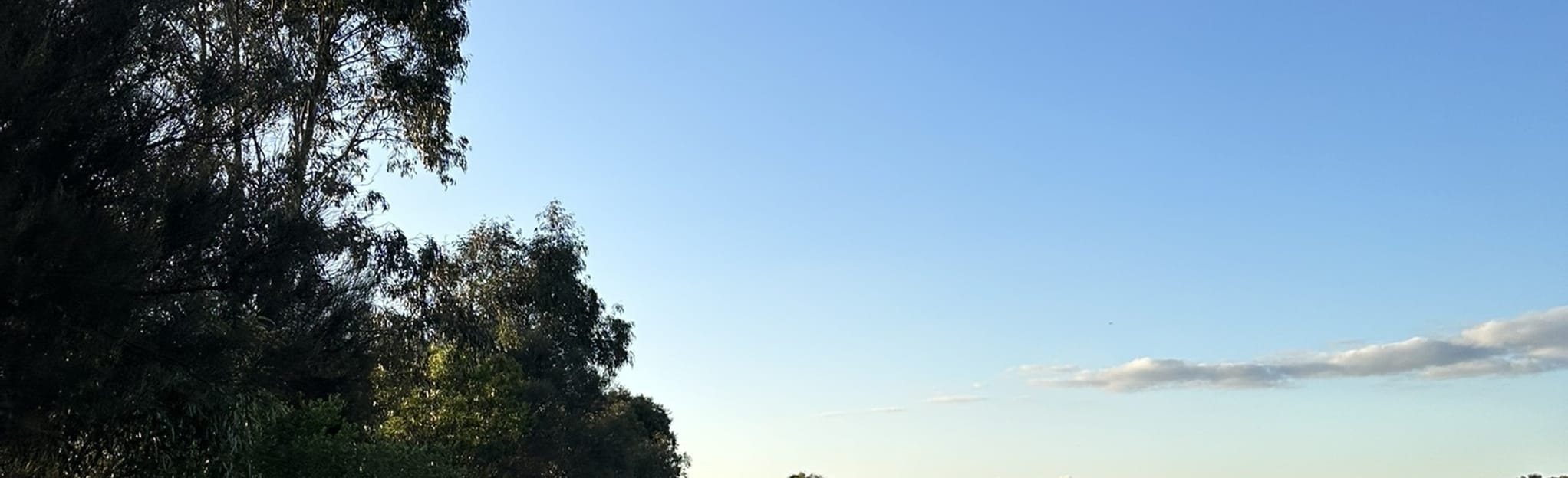 Mordialloc Freeway Trail, Victoria, Australia - 27 Reviews, Map | AllTrails