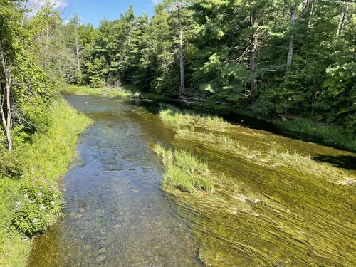 2023 Best Trails, Walks, and Paths in Fitzroy Harbour | AllTrails