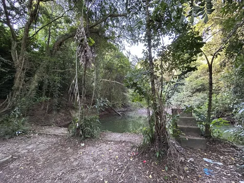 Best Hikes and Trails in Mount Faber Park | AllTrails