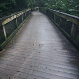 Richland Creek Greenway (McCabe Golf Course Loop), Tennessee - 1,165 ...