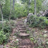 Three Ridges Loop via Appalachian Trail and Mau-Har Trail, Virginia ...