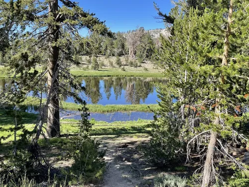 10 Best Trails and Hikes in Reno | AllTrails